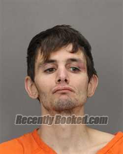 Recent Booking / Mugshot for LOUIS F FEDERICI in Salem County, New Jersey