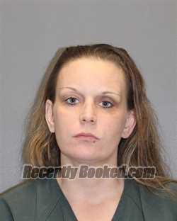Recent Booking / Mugshot for CHELSEA M DONALDSON in Salem County, New ...