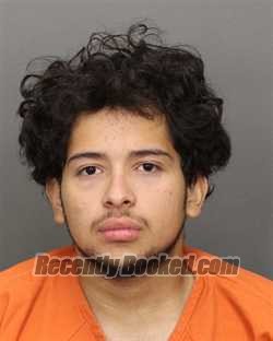 Recent Booking / Mugshot for CESAR MARTINEZ ANDINO in Salem County, New ...