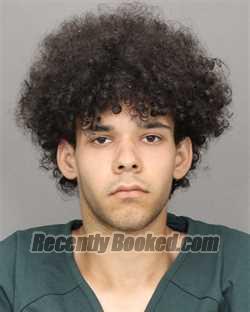 Recent Booking / Mugshot for TYLER ZAKRZEWSKI in Salem County, New Jersey