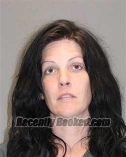 Recent Booking / Mugshot for LISA DAVIS in Salem County, New Jersey