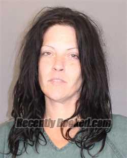 LISA DAVIS Arrest Record & Booking Info – Salem County, New Jersey ...