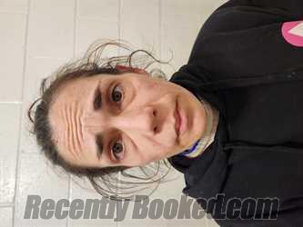 Recent Booking / Mugshot for STEPHANIE L MOORE in Sussex County, New Jersey