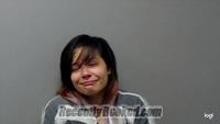 Recent Booking / Mugshot for Shania Christine Bauer in Baxter County ...