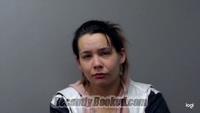 Recent Booking / Mugshot for Shania Christine Bauer in Baxter County ...
