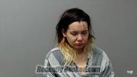 Recent Booking / Mugshot for Shania Christine Bauer in Baxter County ...