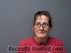 Recent Booking / Mugshot for SUSAN F MARTIN in Baxter County, Arkansas