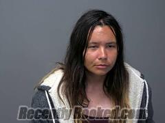 Recent Booking / Mugshot for SHANIA CHRISTINE BAUER in Baxter County ...