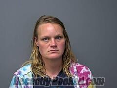 Recent Booking / Mugshot for AMANDA JO RUNKLE in Baxter County, Arkansas