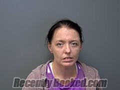 Recent Booking / Mugshot for MISSIE JOLENE MARTIN in Baxter County ...