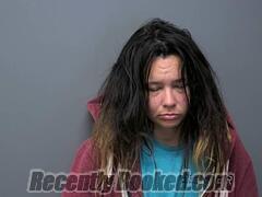 Recent Booking / Mugshot for SHANIA CHRISTINE BAUER in Baxter County ...
