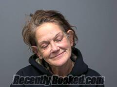 Recent Booking / Mugshot for TINA MARIE HAMBY in Baxter County, Arkansas