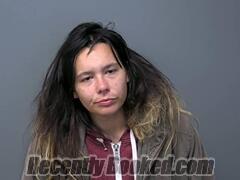 Recent Booking / Mugshot for SHANIA CHRISTINE BAUER in Baxter County ...