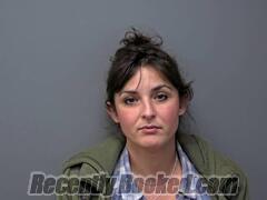 Recent Booking / Mugshot for RASHEL KATRINA BORING in Baxter County ...