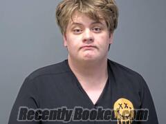 Recent Booking / Mugshot for SKYLER LEE HENSON in Baxter County, Arkansas