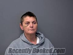 Recent Booking / Mugshot for CASEY DIANE SUTTERFIELD in Baxter County ...