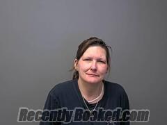Recent Booking / Mugshot for HEATHER ANN SCOTT in Baxter County, Arkansas