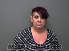 Recent Booking / Mugshot for JENNIFER BRANDY WILLETT in Baxter County ...
