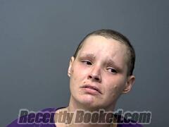 KIMBERLY ELAINE INGRAM Arrest Record & Booking Info – Baxter County ...