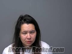 Recent Booking / Mugshot for SHANIA CHRISTINE BAUER in Baxter County ...