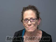 Recent Booking / Mugshot for LYNDA LOUISE WOODRUFF in Baxter County ...