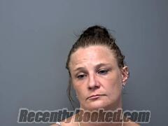 Recent Booking / Mugshot for KRISTA MARIE WEBSTER in Baxter County ...