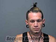 Recent Booking / Mugshot for MATTHEW RAY ALBRITTON in Baxter County ...