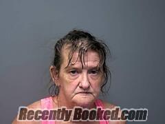 Recent Booking / Mugshot for SHERI LYNN CURTIS in Baxter County, Arkansas