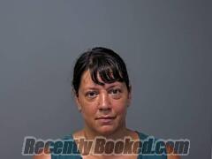 Recent Booking / Mugshot for SHANNON M GONZALEZ-SCHNELL in Baxter ...