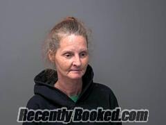 Recent Booking / Mugshot for SHERRI WELCH in Baxter County, Arkansas