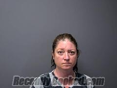 Recent Booking / Mugshot for JENNIFER REBECCA ANGLIN in Baxter County ...
