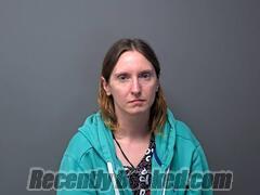 Recent Booking / Mugshot for LISA MARIE SYLVESTER in Baxter County ...