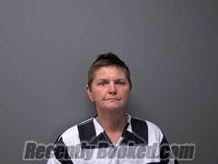 Recent Booking / Mugshot for CASEY DIANE SUTTERFIELD in Baxter County ...