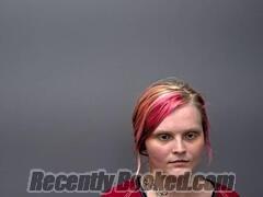 Recent Booking / Mugshot for SKYLER P TENNY in Baxter County, Arkansas