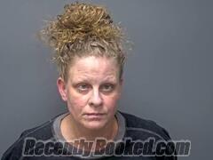 AMANDA L STROUSE Arrest Record & Booking Info – Baxter County, Arkansas ...