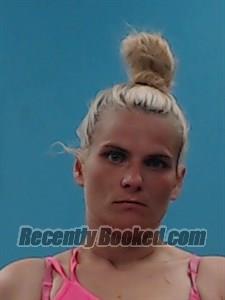 Recent Booking / Mugshot for Robyn Michelle Baughman in Boone County ...