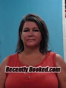 Heather Machelle Newberry Mugshot & Arrest Info | Boone County, AR