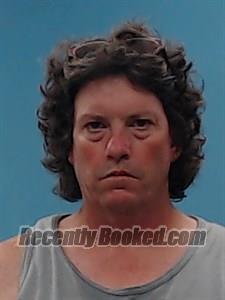 Recent Booking / Mugshot for Jamie Lee Williams in Boone County, Arkansas