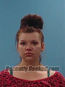 Recent Booking / Mugshot for Michelle Ann Dehart in Boone County, Arkansas