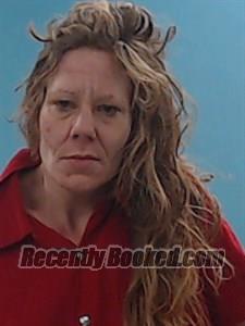 Recent Booking / Mugshot for Mandy Michelle Engles in Boone County ...