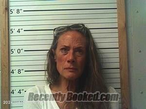 Recent Booking / Mugshot for Michelle Colleen Dilley in Cleburne County ...