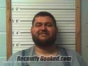 Recent Booking / Mugshot for Regan Connor Blevins Lee in Cleburne ...