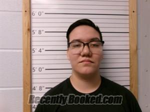 Haley Lynn Workman Mugshot & Arrest Info | Cleburne County, AR