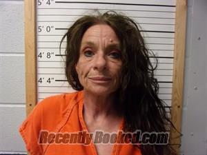 Recent Booking / Mugshot for Kelly Lynn Bell in Cleburne County, Arkansas