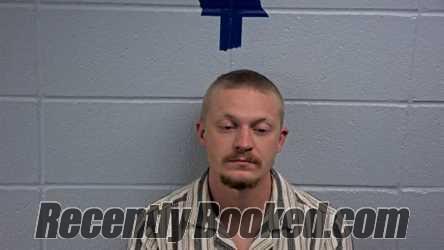 Recent Booking / Mugshot for TATUM L PRESLEY in Cleburne County, Arkansas