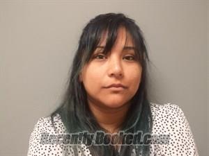 Recent Booking / Mugshot for Cynthia Marie Hinkle in Craighead County ...