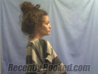 Recent Booking / Mugshot for AMANDA NICOLE LAYMON in Crawford County ...