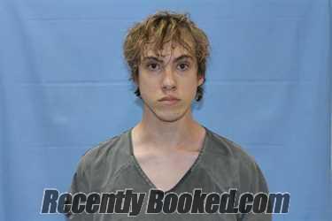 Asher Alexander Ellis Mugshot & Arrest Info | Crawford County, AR