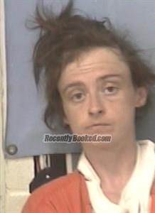 Recent Booking / Mugshot for Cheyenne Nichole Mansfield in Crittenden ...