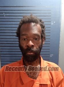 Recent Booking / Mugshot for Terrell L Ross in Dallas County, Arkansas